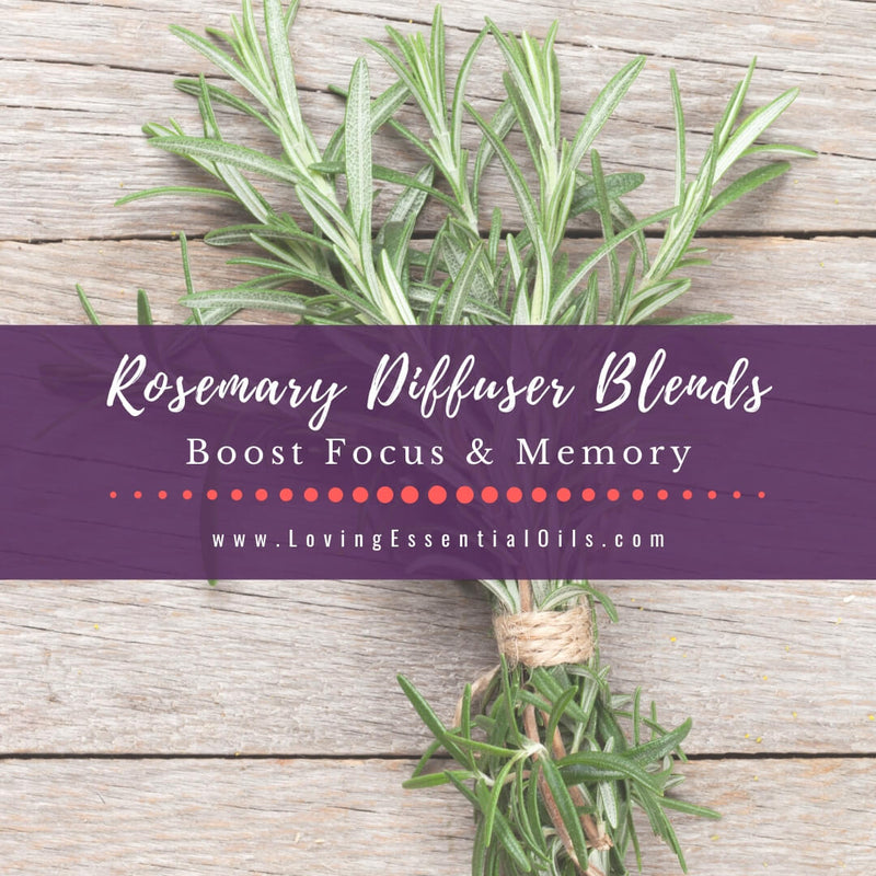 Rosemary Diffuser Blends - 10 Refreshing Essential Oil Recipes - House ...