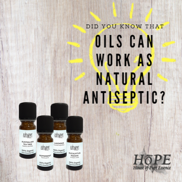 Did You Know That Oils Can work As a Natural Antiseptic? - House of ...