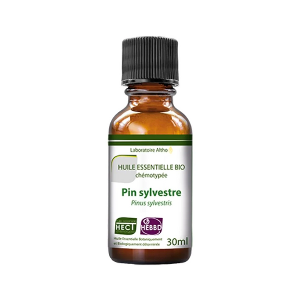 100% Organic Scots Pine (Pinus sylvestris ) Essential Oil - House of ...
